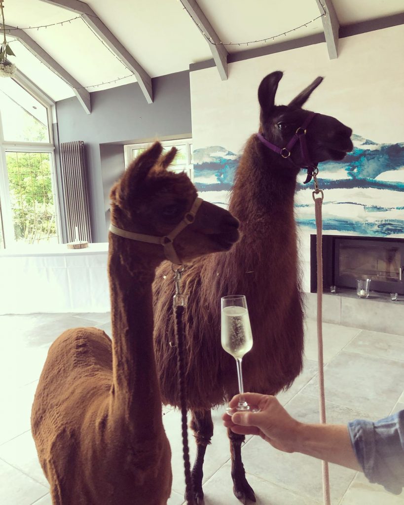 Fruin Farm – Marriage